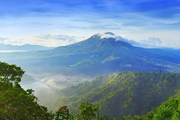 ඉන්දුනීසියාවේ වනාන්තර කැපීම නැවැත්වීම