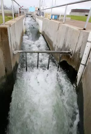 Se agregarán dosis controladas de productos químicos a las aguas residuales purificadas, y durante varios días el agua se filtrará en el pantano. Luego, el agua volverá a ir a la estación de limpieza para su posterior procesamiento.