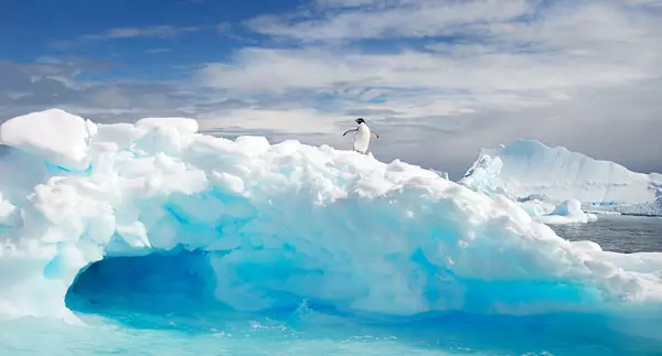Tání mořského ledu porušuje rovnováhu skleníkových plynů