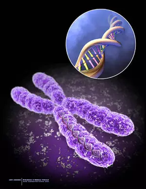 Paglikha ng Buhay: Ang genetically desigure na mga bata?