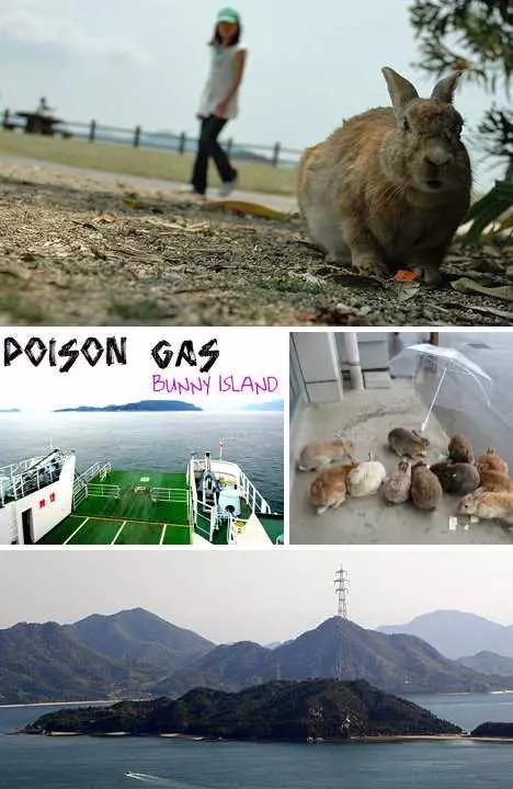 Superpoblación: 7 asombrosas illas ocupadas por animais
