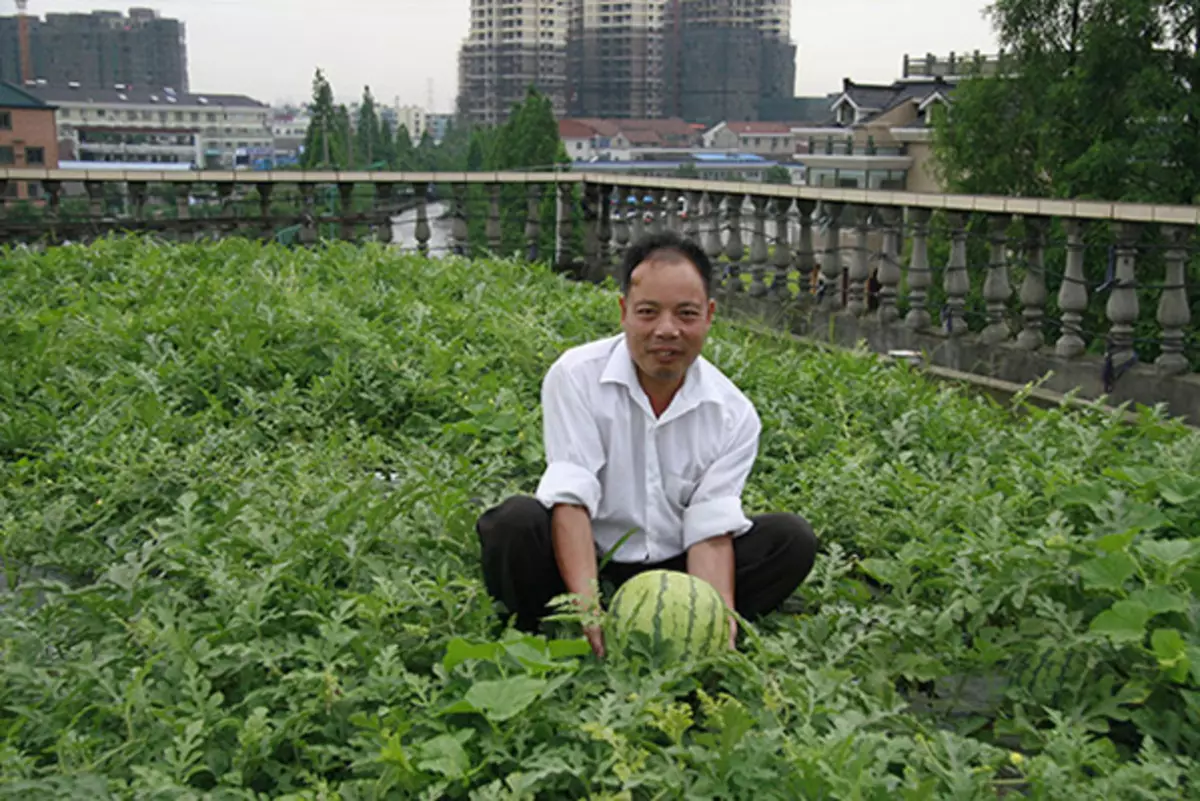 Në çatinë e tij, Peng ngriti 400 kg shalqi, të cilat ai shet në tregun lokal