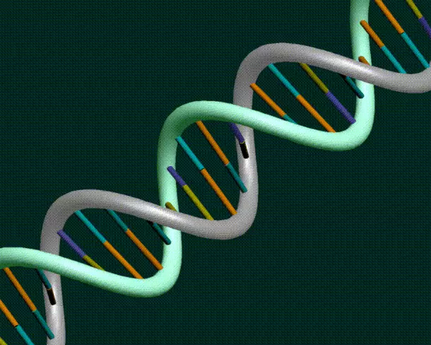 11 séquences d'ADN délicieuses