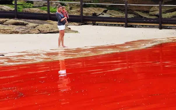 Krv-červený oceán v Austrálii