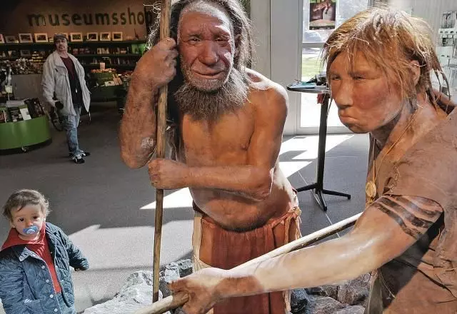 Ihmiset pysähtyivät seksiä Neanderthalin kanssa Euraasia