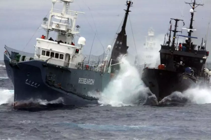 일본은 어업을 중단하는 일본을 일지?