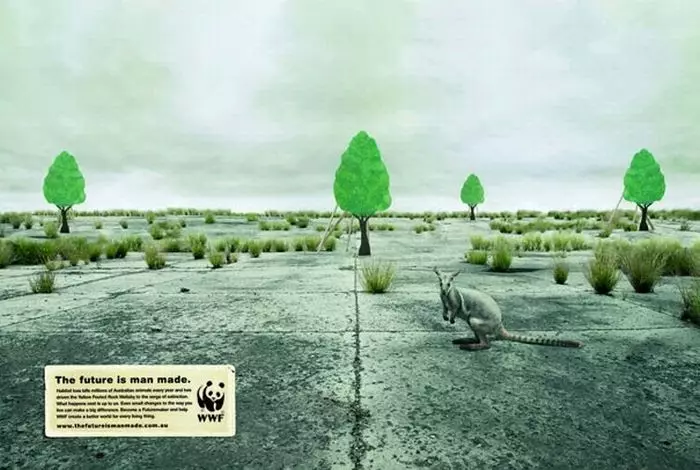 Eco-publicidade social