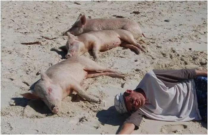 Insel vu Waasserfowl Pigs