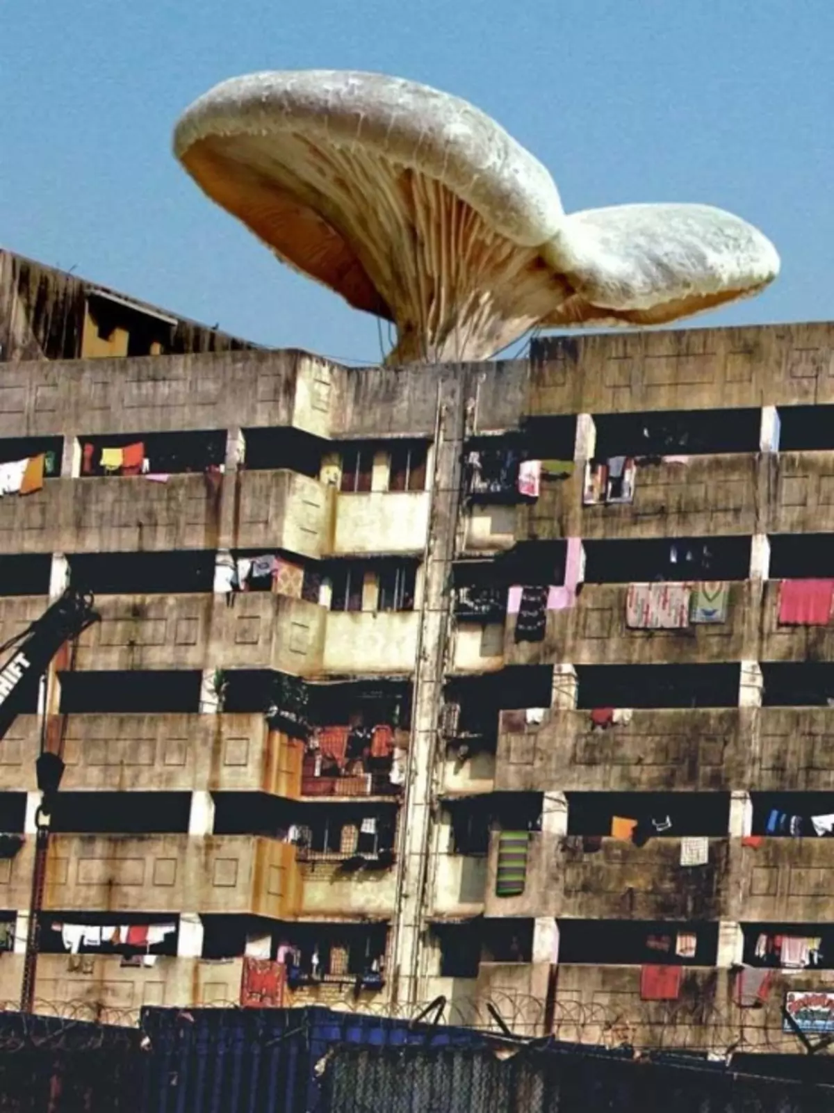 Giant Mushrooms - Elektrisiteit en wetter foar slum