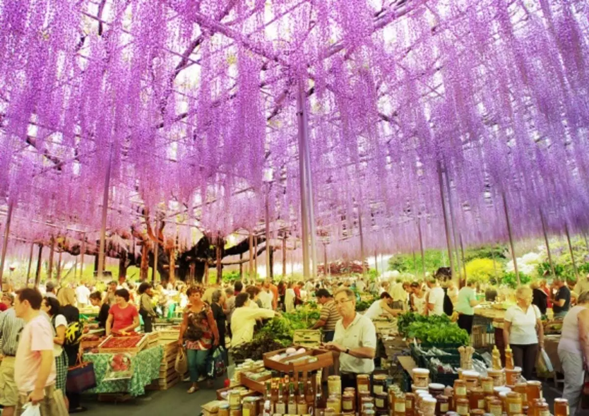 Floriade txoj haujlwm hauv Almere