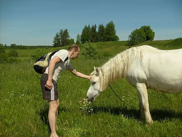 Sương - Giải quyết môi trường đầu tiên ở Belarus