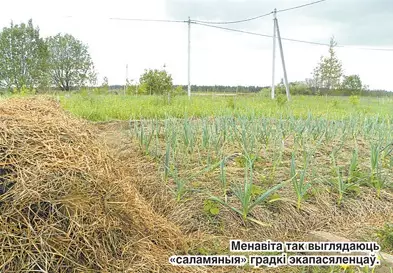 Slama - temelj lokalne dobrobiti