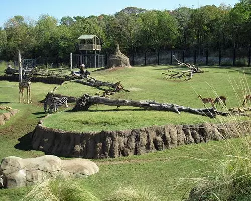 最着名的世界zoos中有8个