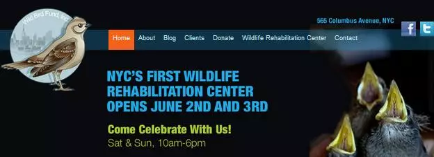 يفتح مركز مساعدة الحيوانات البرية والطيور في نيويورك في 2 يونيو
