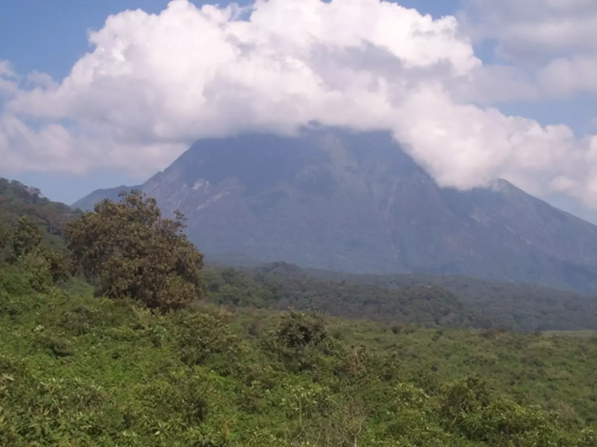 Jurassic Park? Ekspedisie gaan na Afrika om vir lewendige dinosourusse te soek