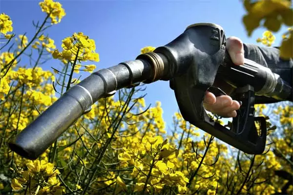 Biocombustible. A medicina é unha enfermidade terrible?