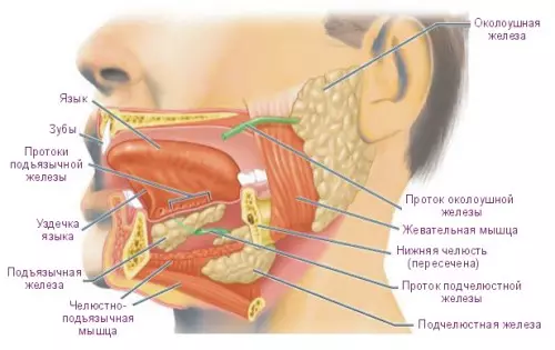 ලවණ පිළිබඳ අනපේක්ෂිත කරුණු 5 ක්