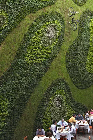 Jardin vertical près du restaurant Padrinos à Mexico