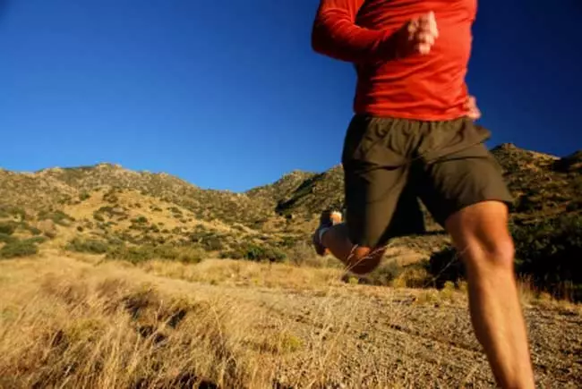 Incroyable et divertissant sur le cerveau de l'homme