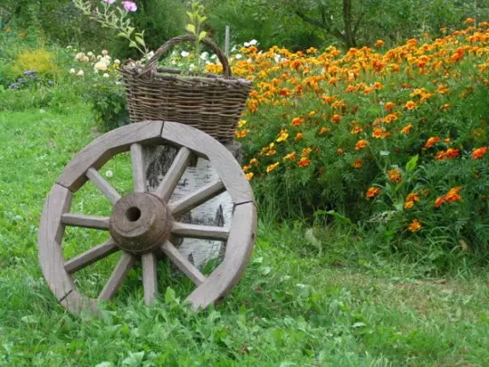 Ekolojik Turizmin Temelleri