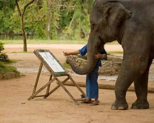 15 animales utilizando instrumentos de trabajo.