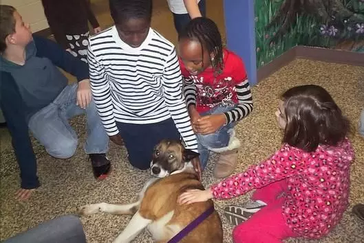 Children stopped to stroke whales