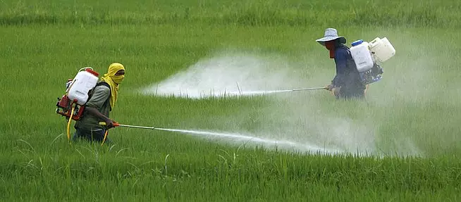 Celovit nadzor plevela - najboljši odziv na odpornost na herbicide