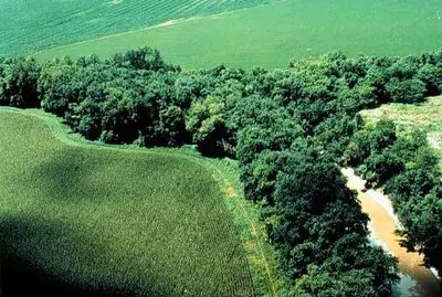 Kopshtari i territoreve rreth lumenjve jo vetëm thith karbon nga atmosfera, duke na ndihmuar të vonojmë ndryshimet klimatike në të ardhmen, por edhe të punojmë tani, duke mbrojtur biodiversitetin, duke siguruar strehimore të ftohtë dhe sigurinë e habitateve në mes të peizazheve të ngrohjes