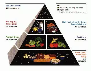 产品金字塔1991包括肉，家禽，鱼，鸡蛋，干豆和坚果在一组中，这引起了从肉行业的强烈表达分歧