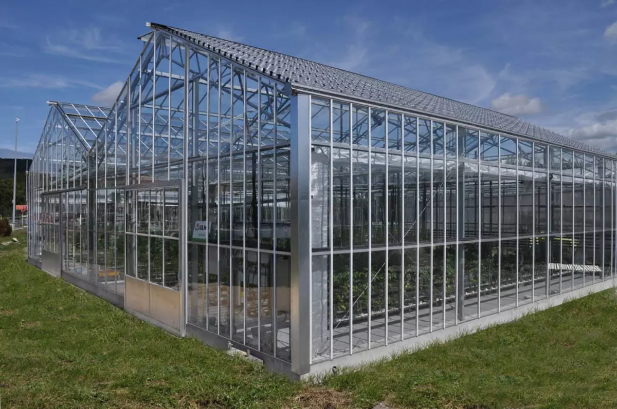 UlmaAgrícolaとNeiker Tecnaliaの新しいスペイン語技術を使用すると、収穫の恩恵を受けて温室の屋根に太陽電池パネルを配置することができます。
