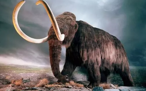 Cloning mammoth