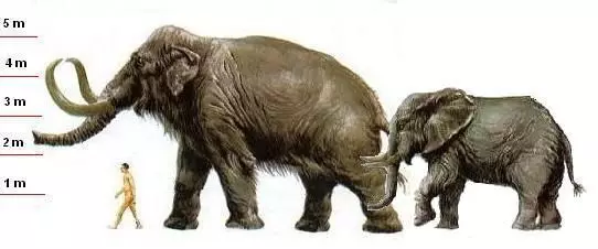 Kloniranje mamuta