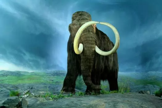 Cloning mammoth