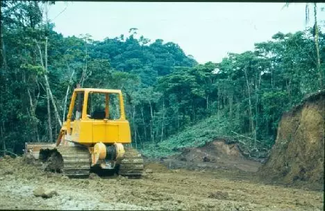 Унищожаване на девствена гора
