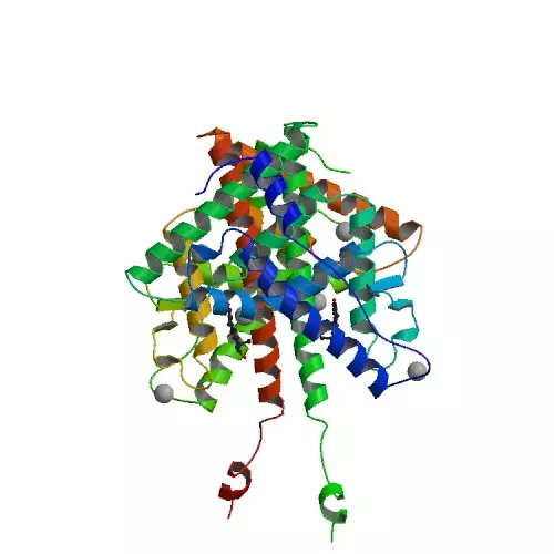 Alfrogen Alpha Receptor