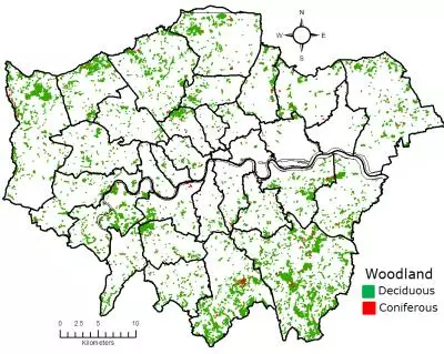 Acoperirea pădurilor este de 8,6% din întregul teritoriu al Bolshoi Londra. Restul de 11,4% sunt adresate de la copacii de grădini, străzi și copaci individuali necunoscuți.