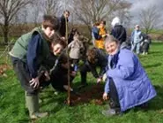 Bimë e madhe e bimëve - fushata qeveritare e Britanisë së Madhe për të stimuluar njerëzit dhe komunitetet për uljen e një numri më të madh të pemëve në qytetet e vendit