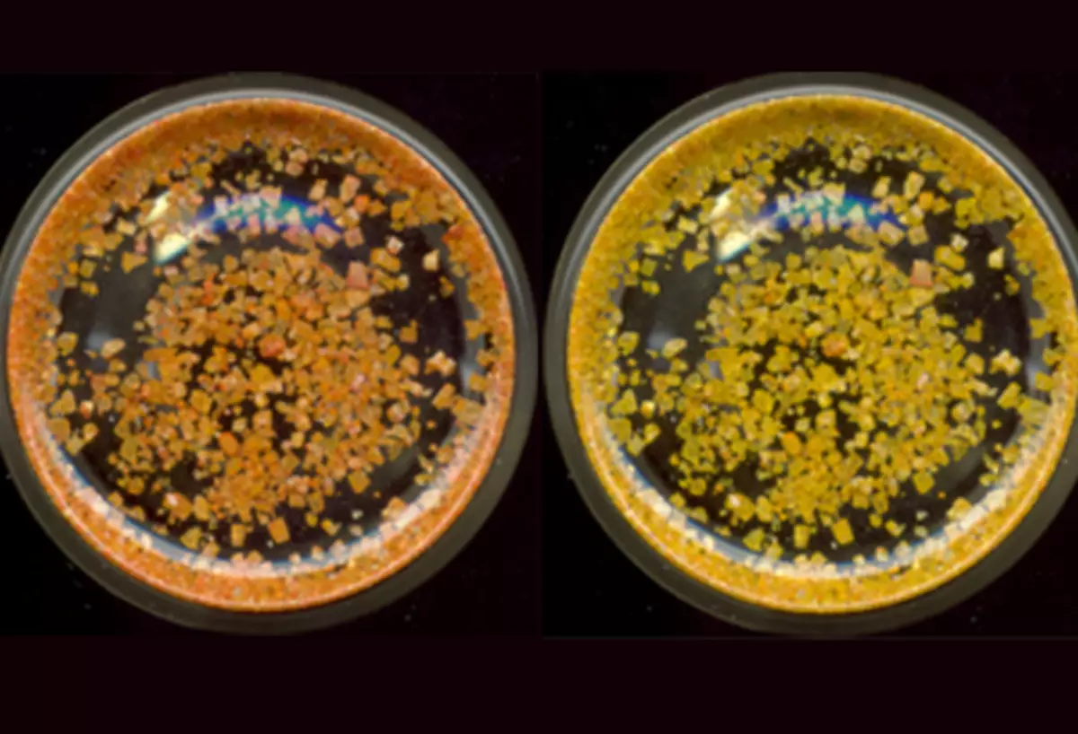 Het materiaal aan de rechterkant heeft meer koolstofdioxide geabsorbeerd en werd rood. Foto: Noordwest-universiteit