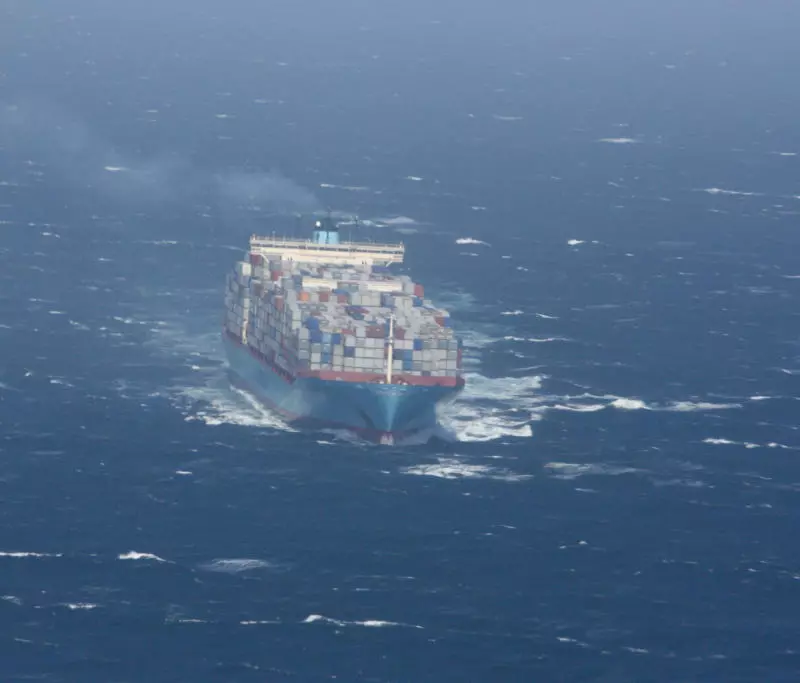 Container Ship Margrethe Maersk Off sa baybayon sa California