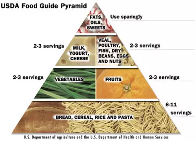 Kaip dalį naujausių rekomendacijų dėl tinkamos JAV žemės ūkio departamento mitybos pakeitimų JAV vyriausybė atsisako garsiausio maisto piramidės vakarienės plokštės labui.