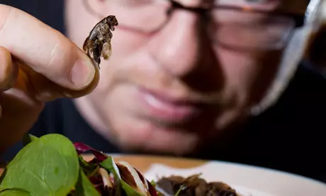 Il serait plus facile pour vous de manger des insectes et des araignées, si vous saviez ce qu'ils faisaient?