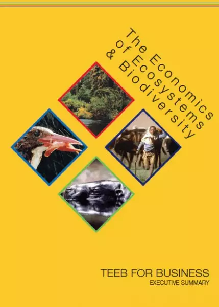 L'informe proporciona una sèrie d'assessorament important per als polítics i els negocis, detallant com és millor avaluar el valor real de l'ecosistema per a l'economia.