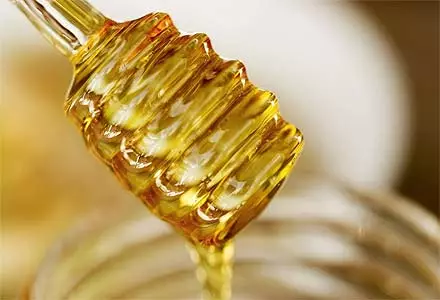 Greenpeace na naglalarawan ng mga bakas ng pollen sa honey bilang polusyon = kontaminasyon