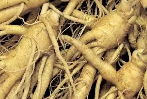 Tushen ginseng