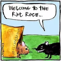 Rotte løber begynder i Sydney: Bag Balki mellem sorte rotter og rotter