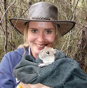 Busk rotter vil ikke invadere din bolig - de foretrækker at bo i buskene