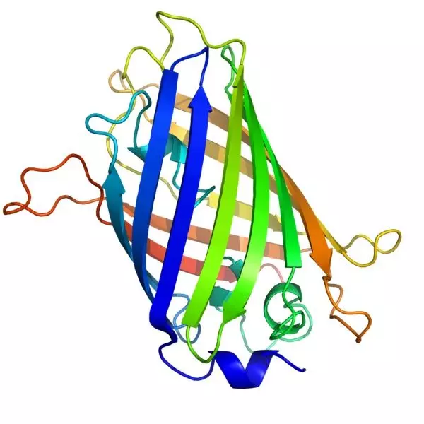 Proteina fluorescentă verde