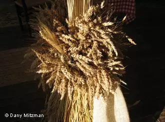 Izinhlobo ze-Wheat zendawo zibonakala ngenani eliphakeme lokudla okunempilo.