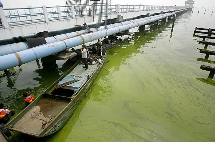 עובדים ניקה צינורות אצות אצות על אגם תאילנדית