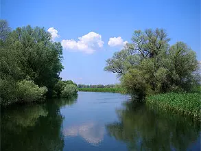 Danube Delta.